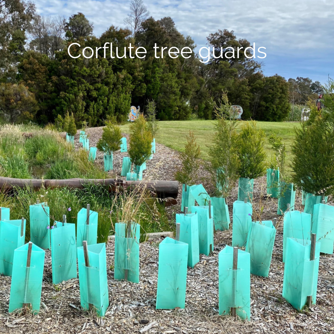 Understanding Single-Use Plastic Ban In QLD - Privy Solutions
